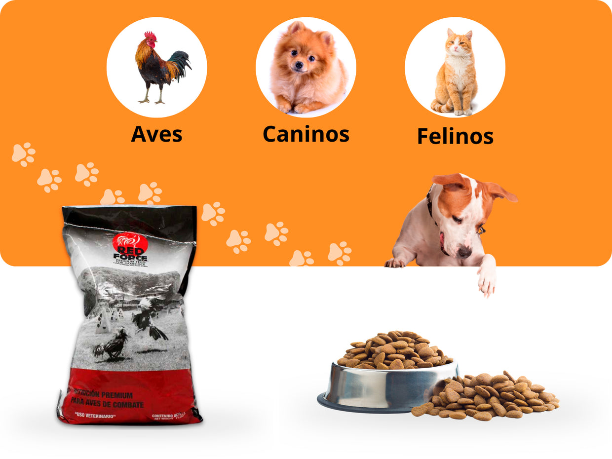 Super Flumi-Strep AAA Reforzado 6 Millones 30 ml | Tornel – Robles ...